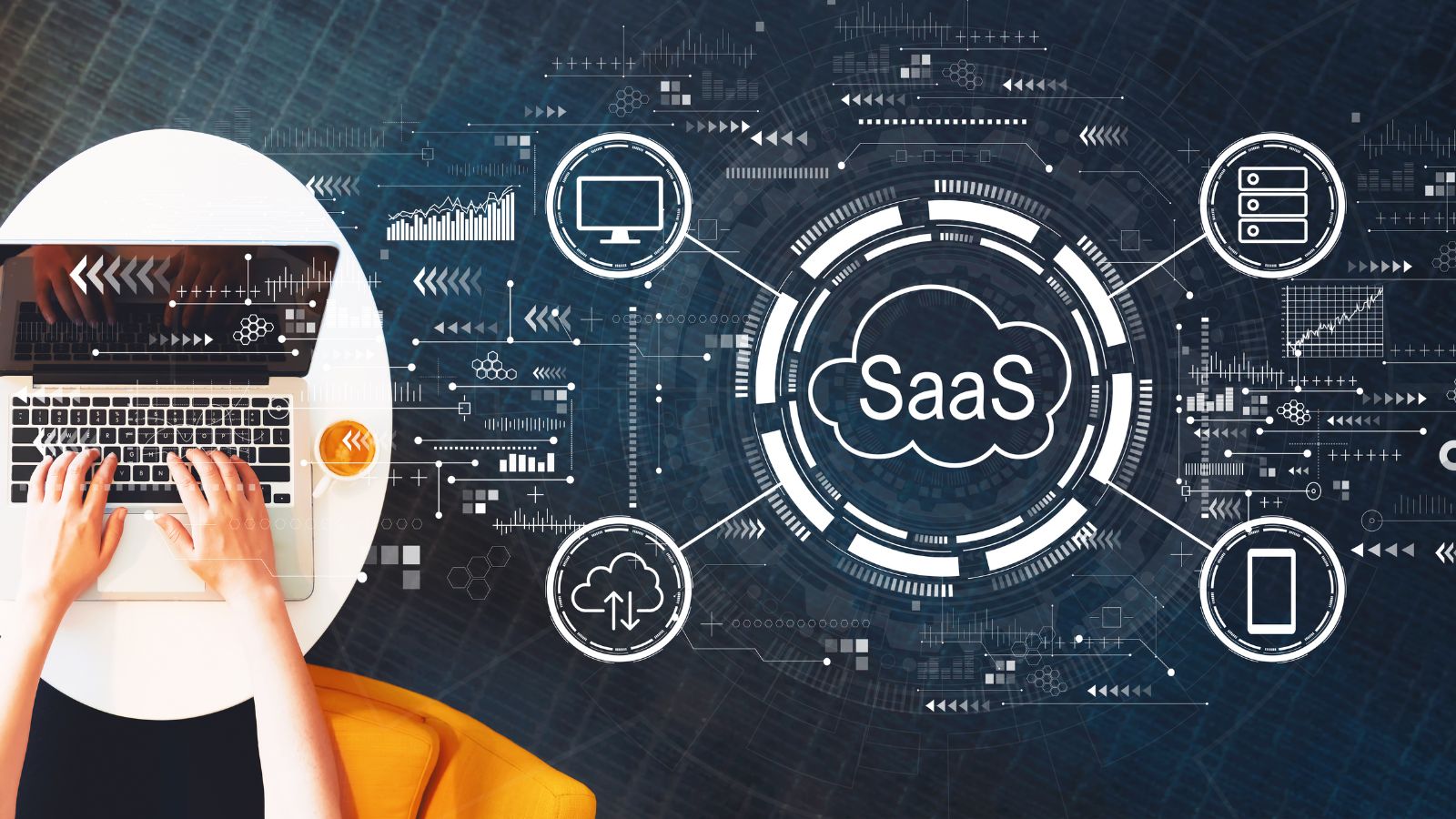 10 Ways PIM as a SaaS Will Benefit Your Company – Catsy DAM + PIM