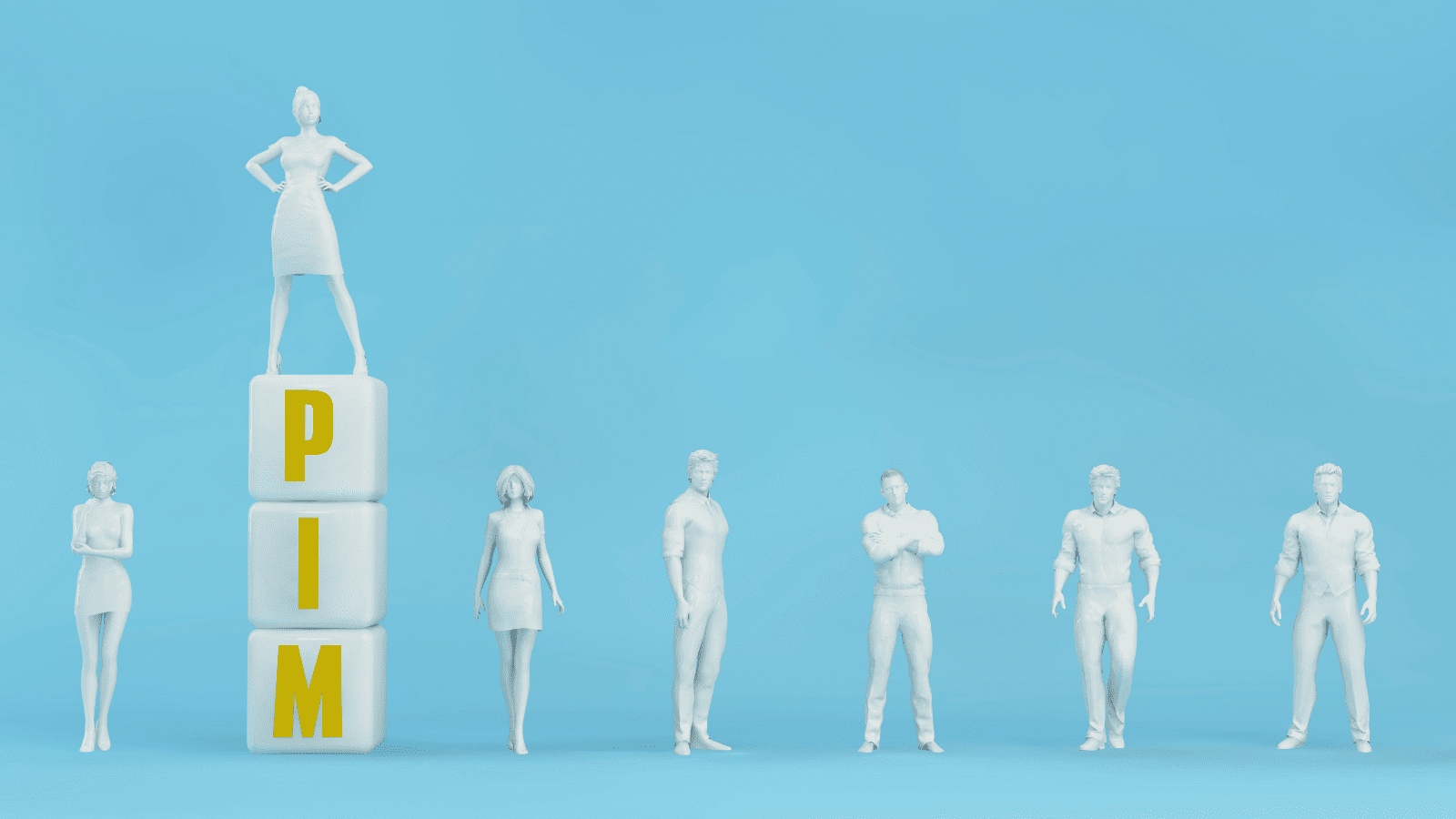 Evolution of Product Information Management in the Digital Age