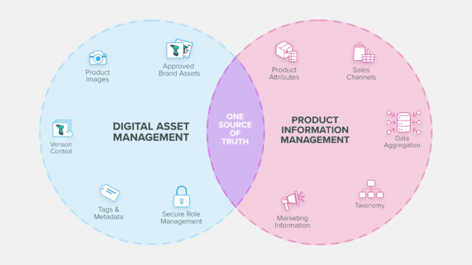 Stronger B2B Relations with Precise Data - Catsy PIM & DAM Tools