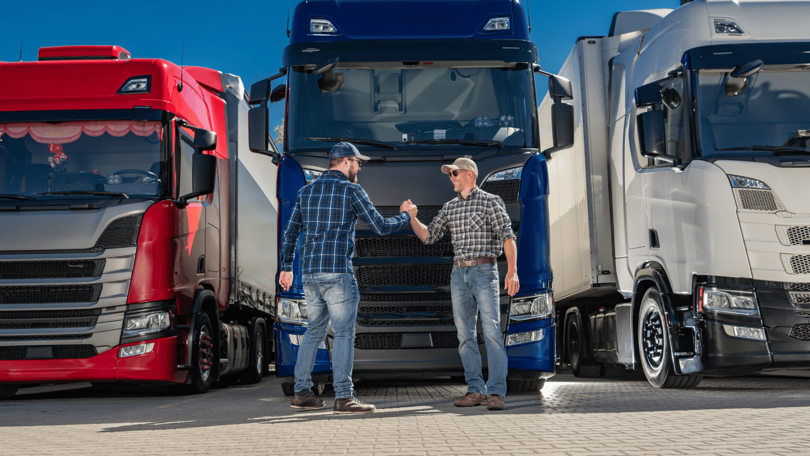 Brands: Optimize Distributor Partnerships with PIM and DAM – Catsy DAM ...