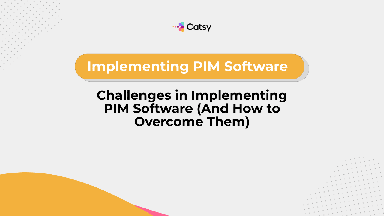 Challenges in Implementing PIM Software: Complete Guide to Overcome ...